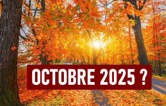 Météo Lille : prévisions heure par heure sur plus de 15 jours