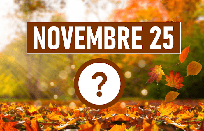 Météo Lille : prévisions heure par heure sur plus de 15 jours