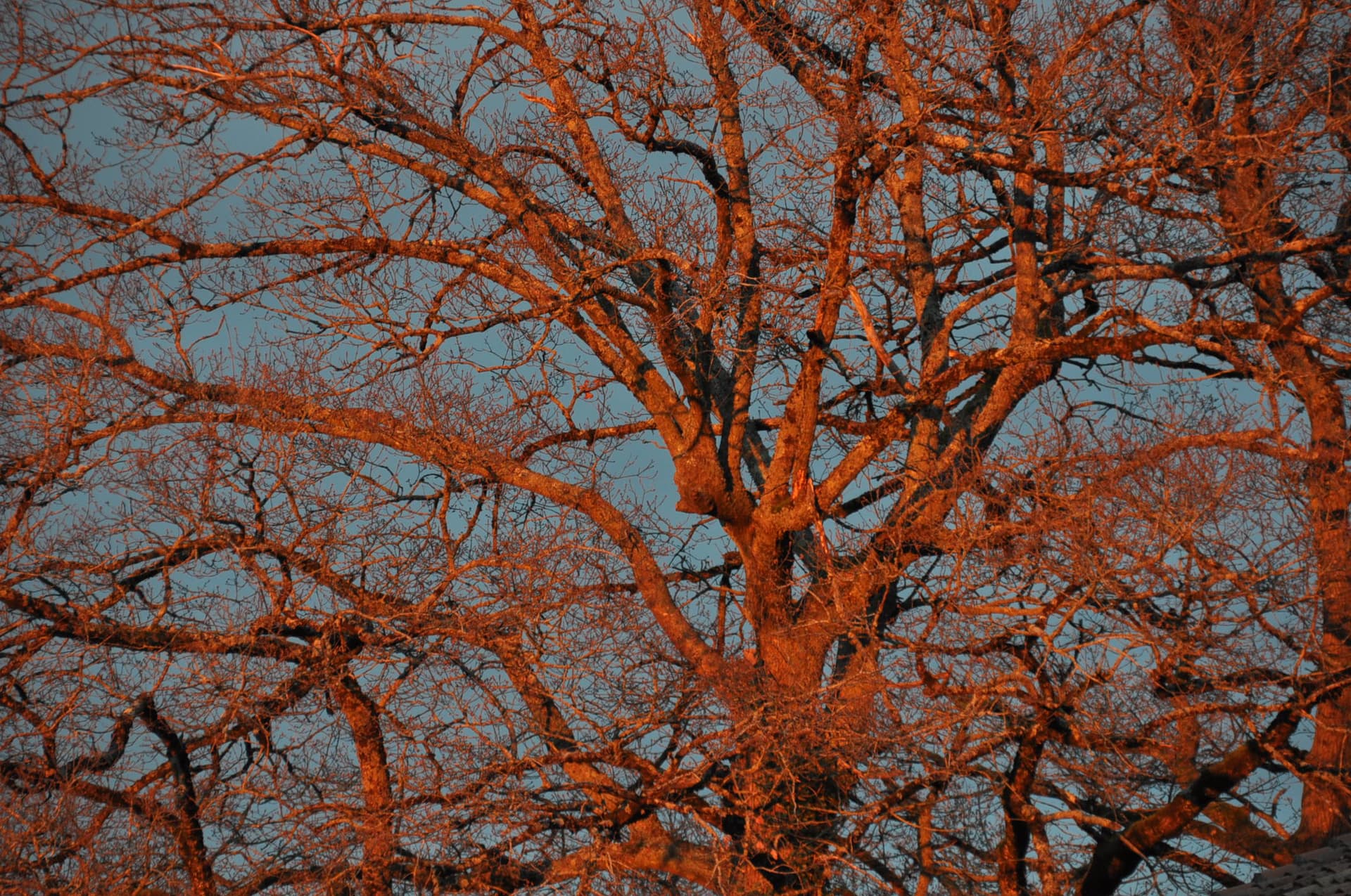 Prévisions météo Lille à 15 jours - 1er site météo pour Lille, Roubaix ...