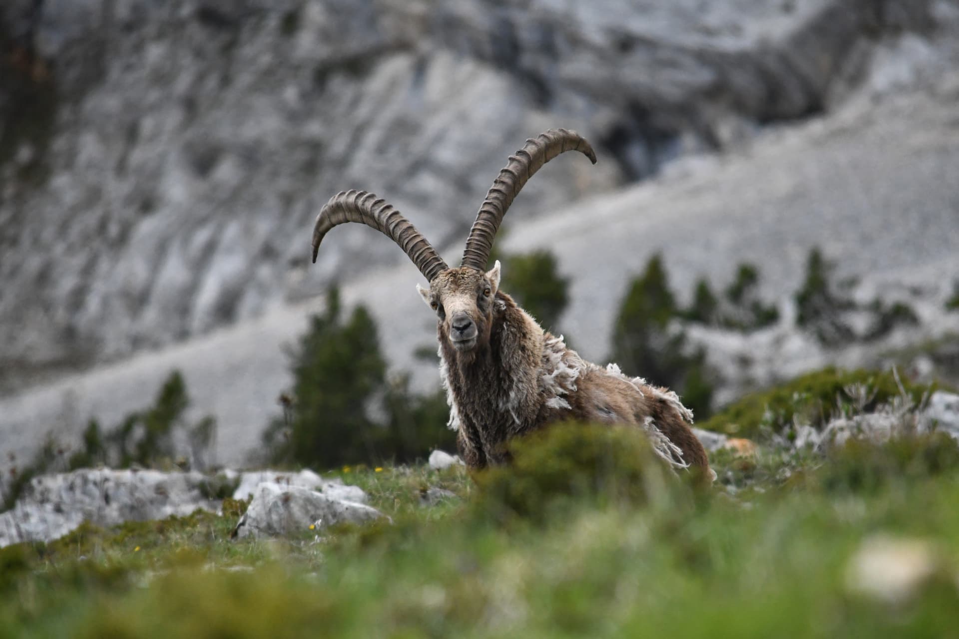 Météo week end à Lille - Prévisions à 15 jours - 1er site météo pour ...